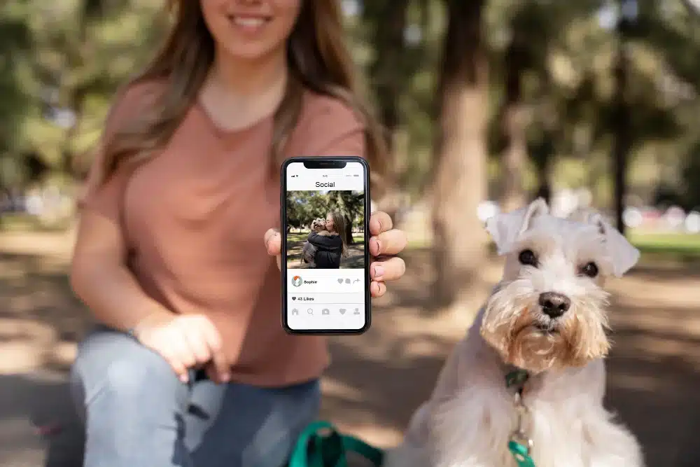 Build An App To Find Lost Pets